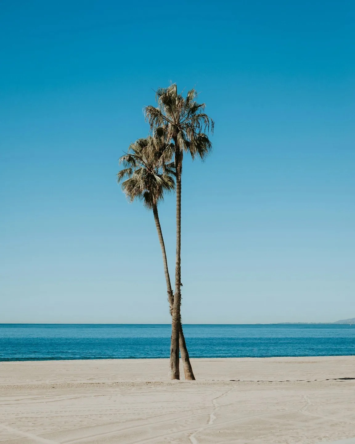 California SB 1318 Short-Term Rentals: Critical Guide
